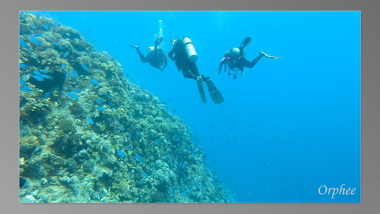 Croisière plongée mer Rouge Saint John's Reef - YouTube