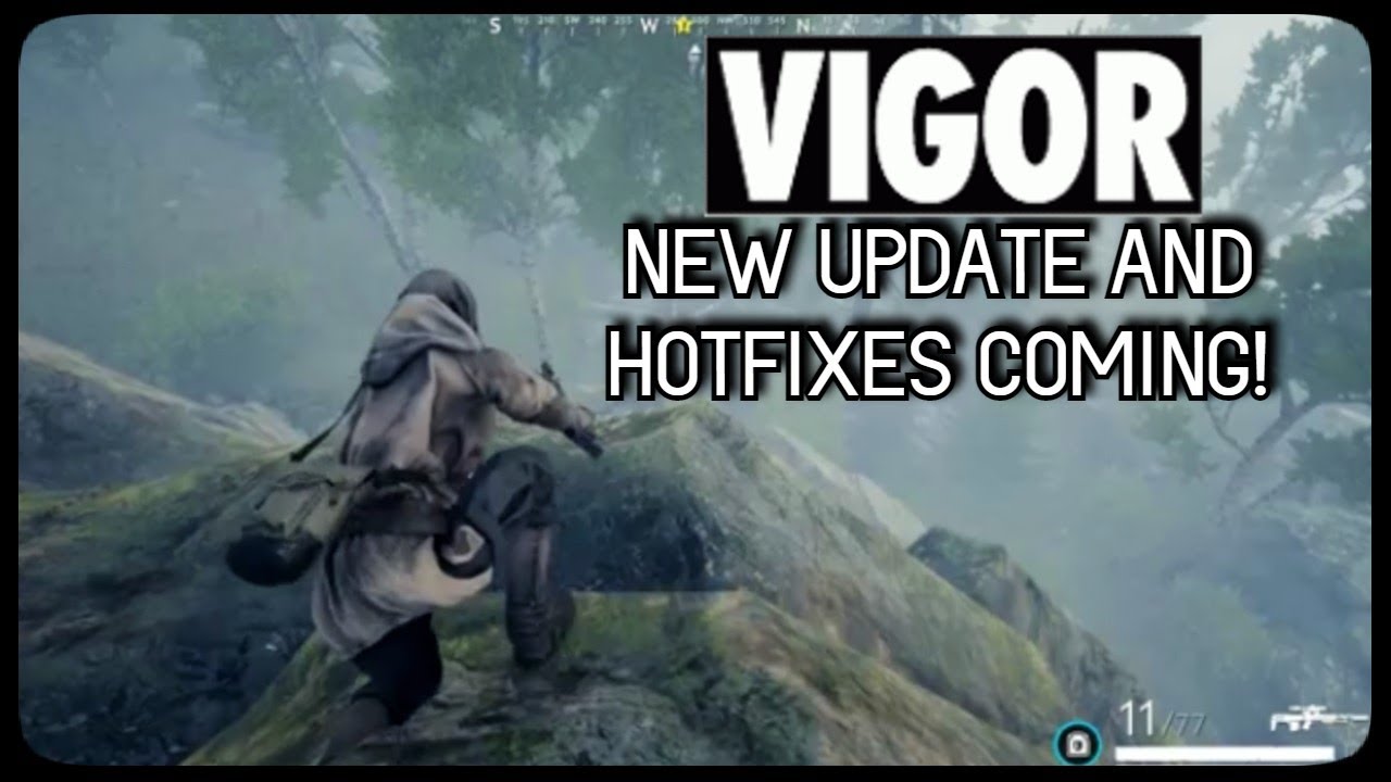 Vigor Finally Takes Steps To Fix Their Game, Playstation Crashing And ...