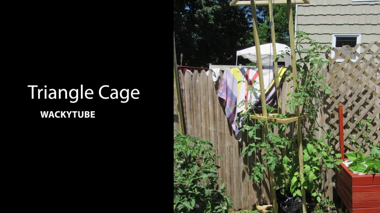 Triangle Cage For Plants! - YouTube