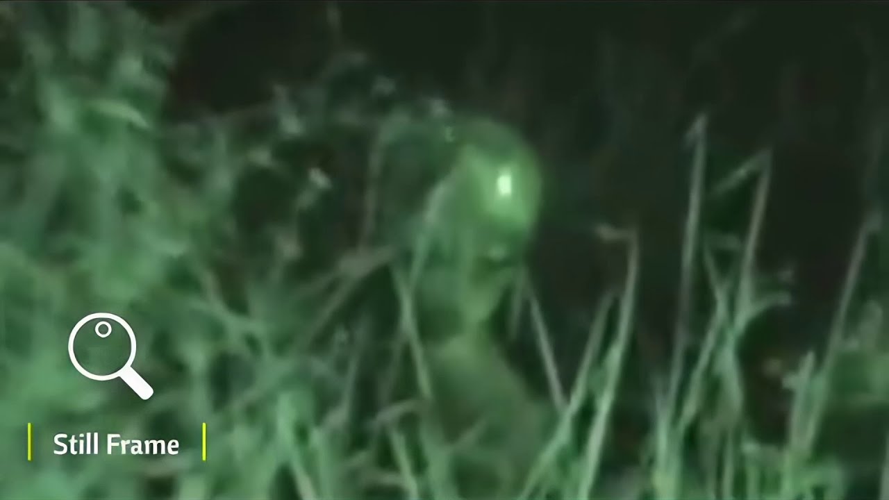 Australian Alien Encounters 2 - YouTube