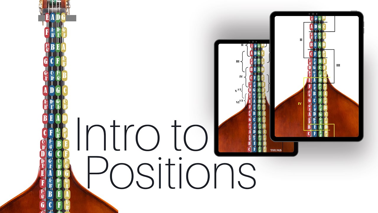 Introduction to Fingerboard Positions on the Upright Bass - YouTube