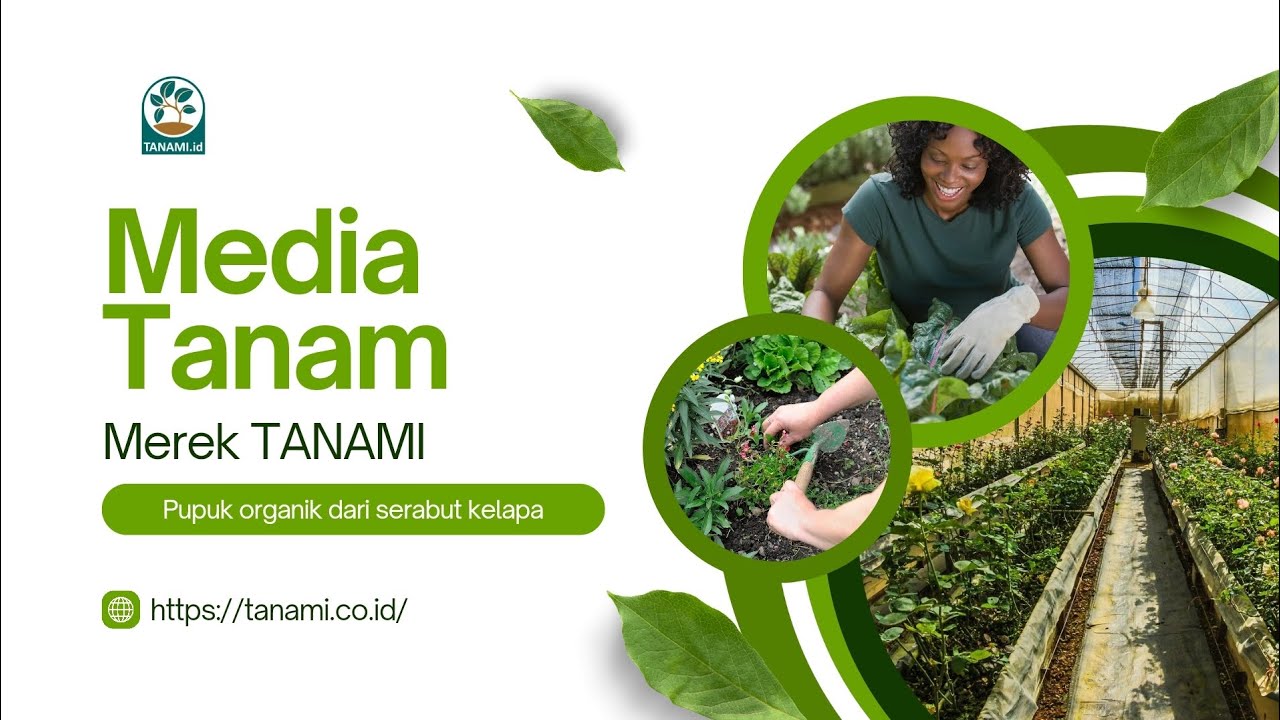Tanami: Media Tanam Ideal untuk Pemula - YouTube