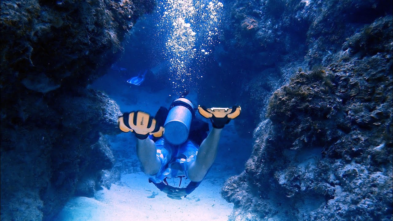 100th dive in Cozumel July, 2023 - YouTube