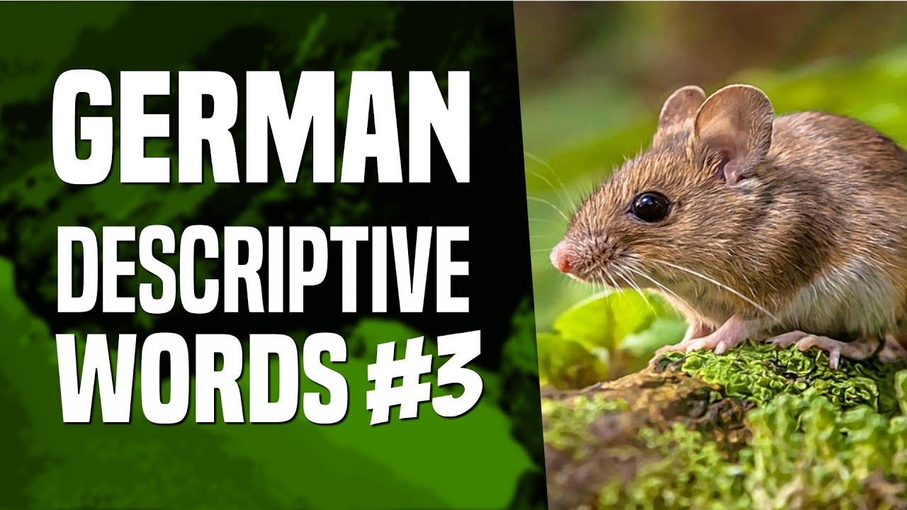 Learn German Vocabulary: Description Words (Part III) - Lesson #92 ...