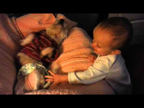 Everett tickling Spanky's foot