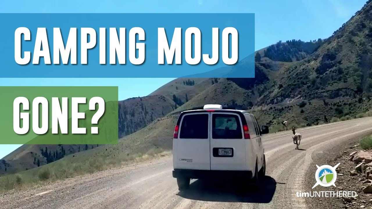 Are these Covid Crowds or did we lose our MOJO? - YouTube