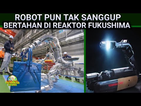 Jangankan Manusia.? Robot Pun Akan Mati Memasuki Reaktor Nuklir - YouTube