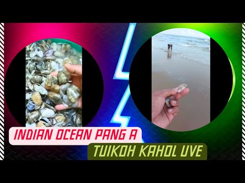 Tuikhanglen pang a Twikoh nehdia kahol niu|| - YouTube