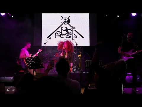 tuğçe kütükoğlu | koyver kendini ['petfest 2019' canlı performansı]