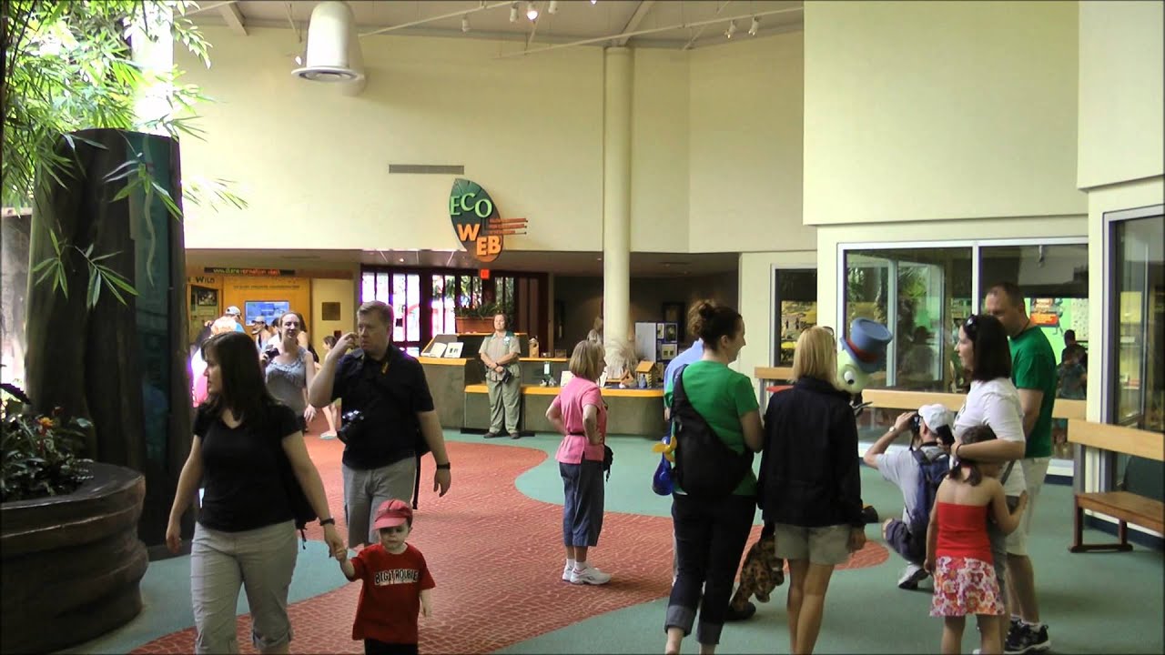 Conservation Station, Animal Kingdom, Walt Disney World HD (1080p ...