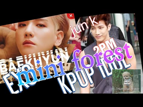 KPOP Mini Forest ft. EXO Baekhyun, 2PM JUN K. and more
