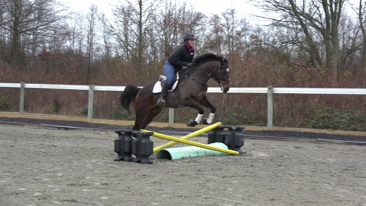 Sippican Shop first jumps 12 27 23 - YouTube