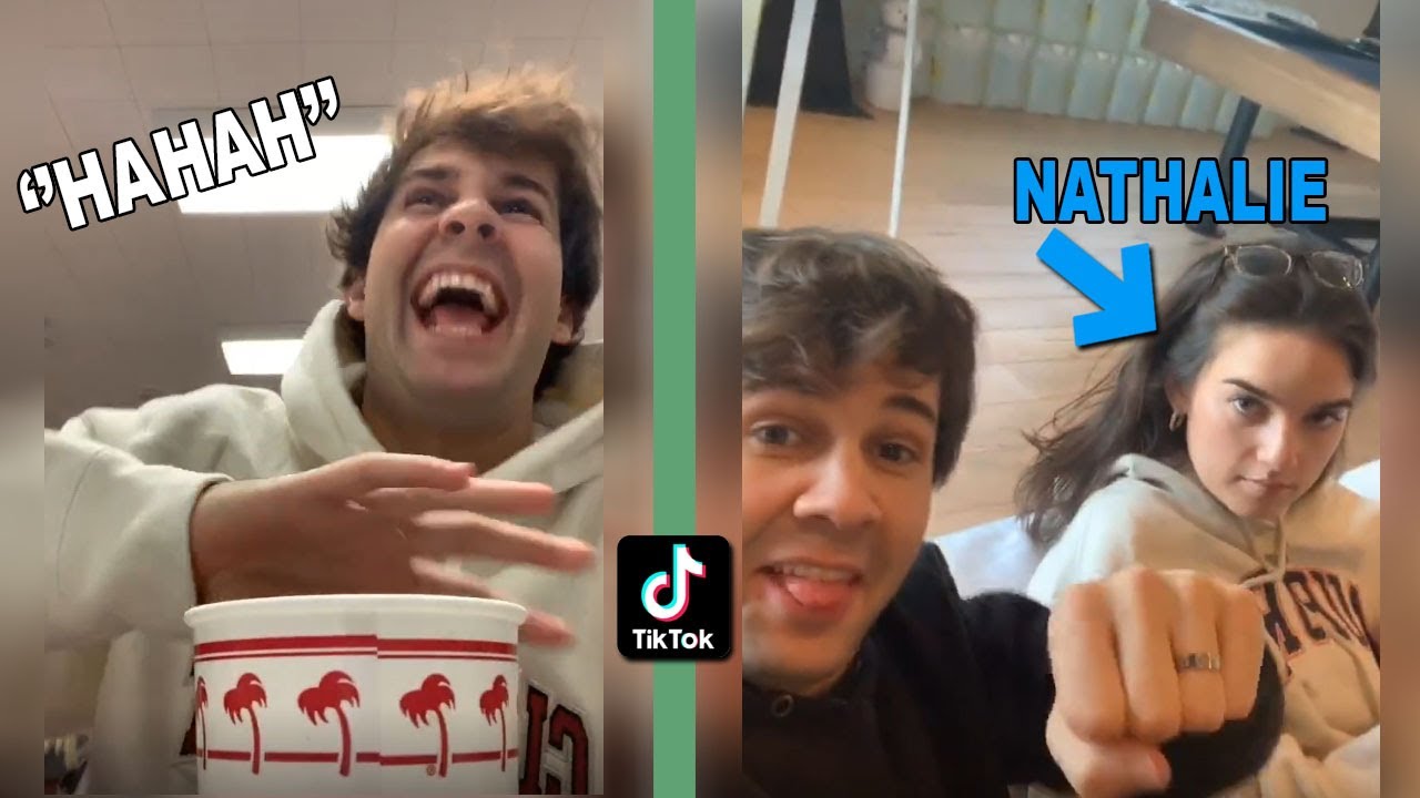 Top 20+ DAVID DOBRIK TIK TOK'S [PART 1] - YouTube