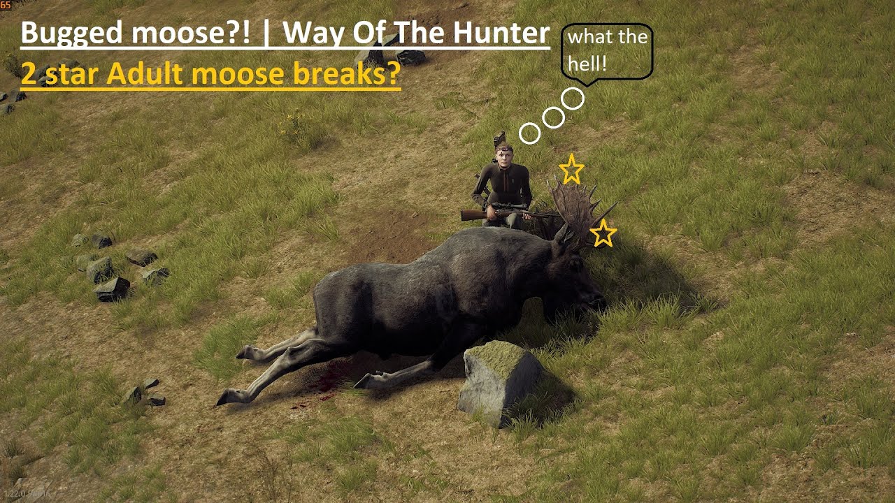 Broken moose + Herd management | Way Of The Hunter - YouTube