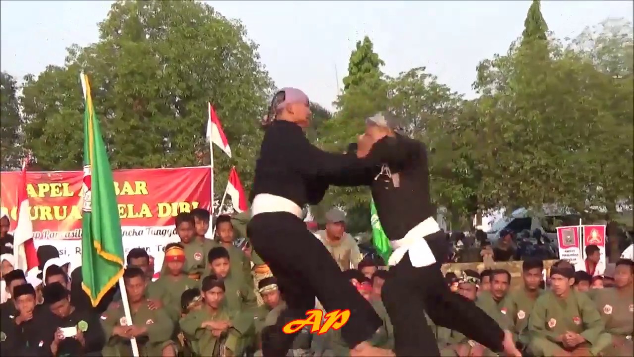 ATRAKSI PENCAK SILAT SH TERATE - YouTube