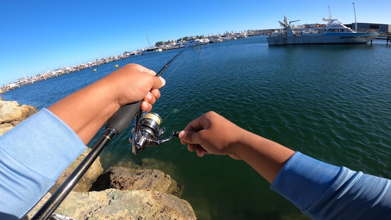 Fishing Around Perth Catching Multiple Species!!! (F.T UBER DRIVER ...