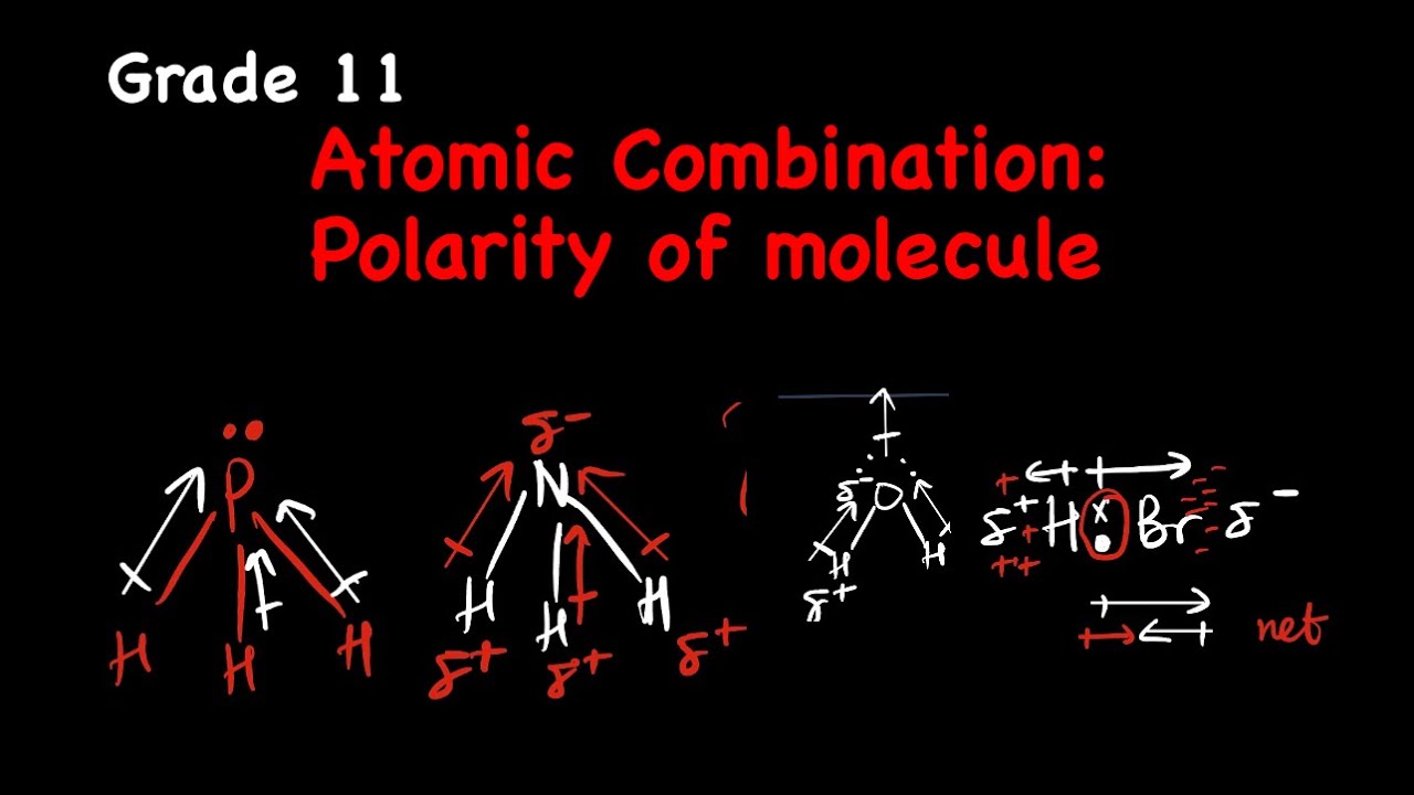 Grade 11 Atomic Combination: Polarity of Molecules - YouTube
