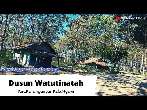 Jalan desa watutinata Karanganyar, Ngawi❗Jika Mau Berobat Ke Puskesmas Harus Lewatin hutan‼