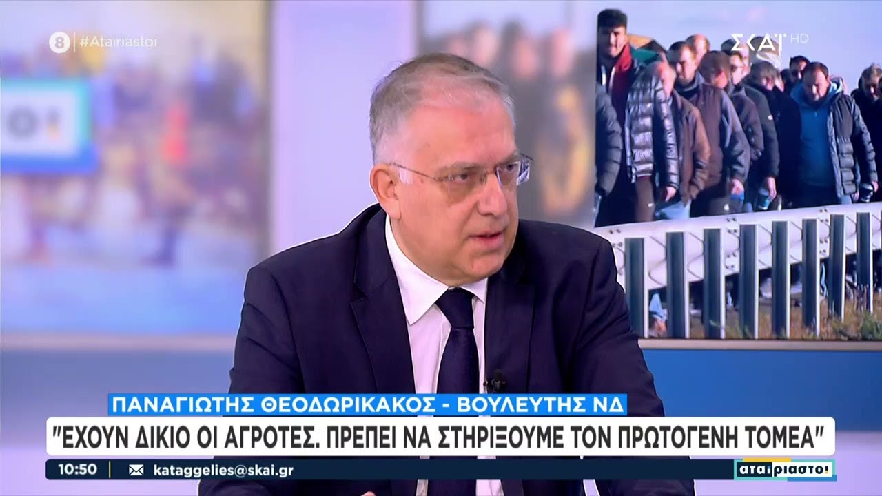 Ο Π. Θεοδωρικάκος μιλάει για την ακρίβεια, την εγκληματικότητα, τους ...