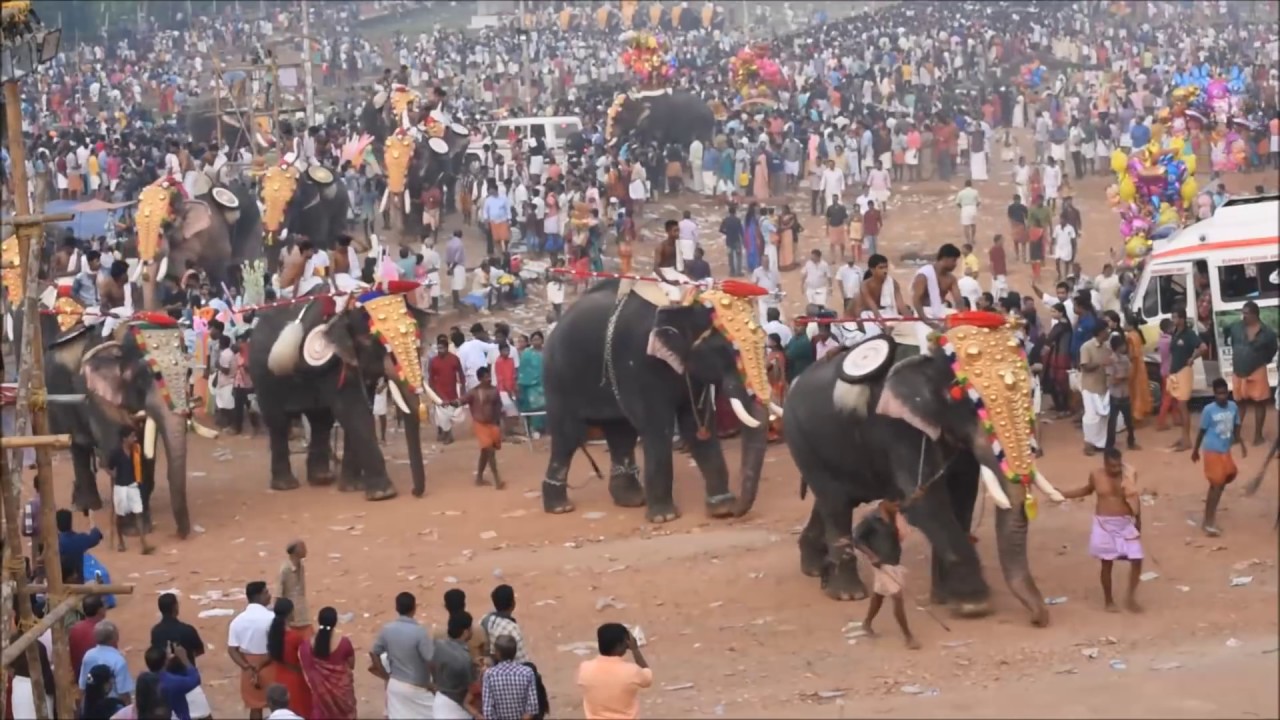 Arattupuzha Pooram Devasangamam Night Scenes And Movements Of Elephants ...