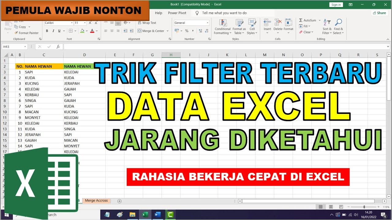 Trik Filter Data Excel Dengan Karakter Tertentu | Jarang diketahui ...