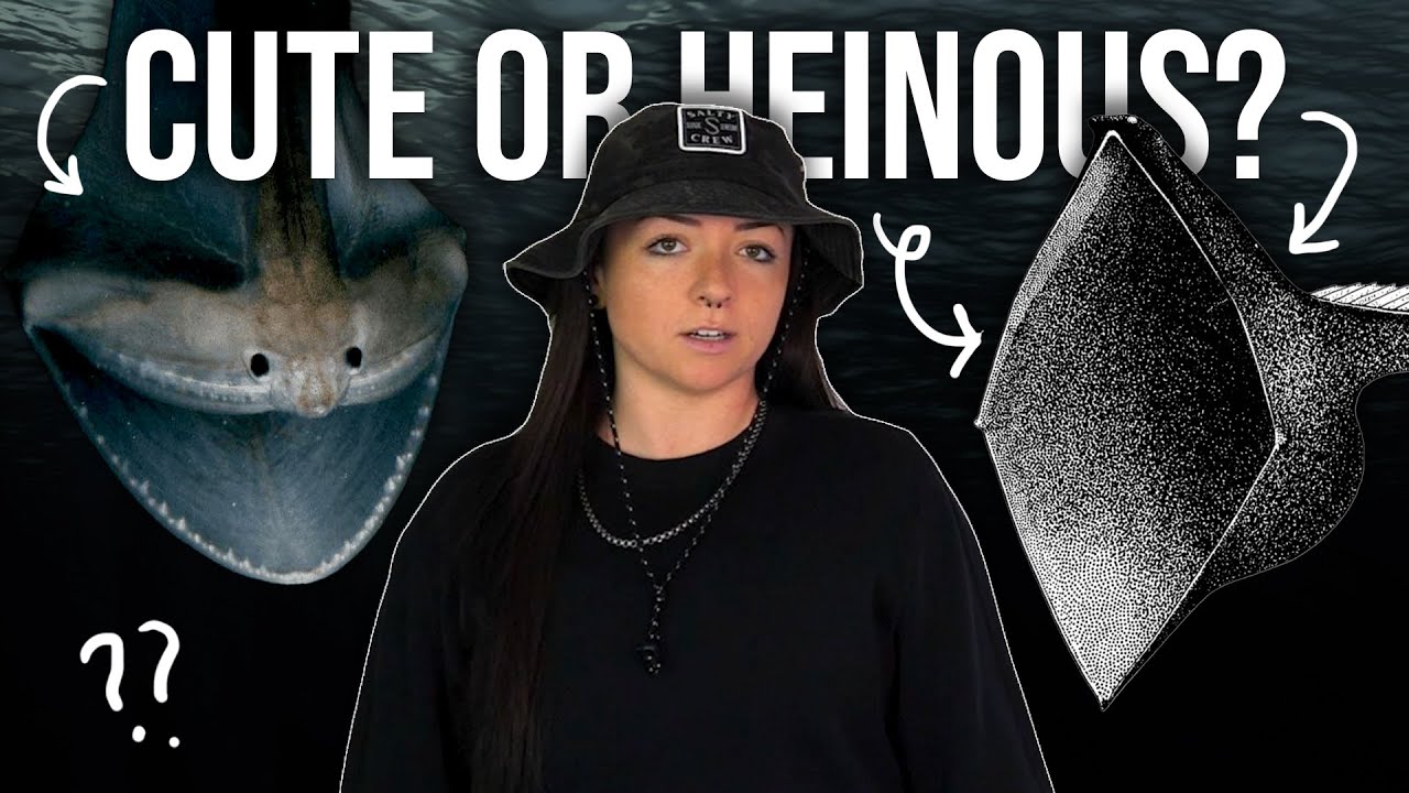 Gulper Eel Iceberg: Cute or Heinous? - YouTube