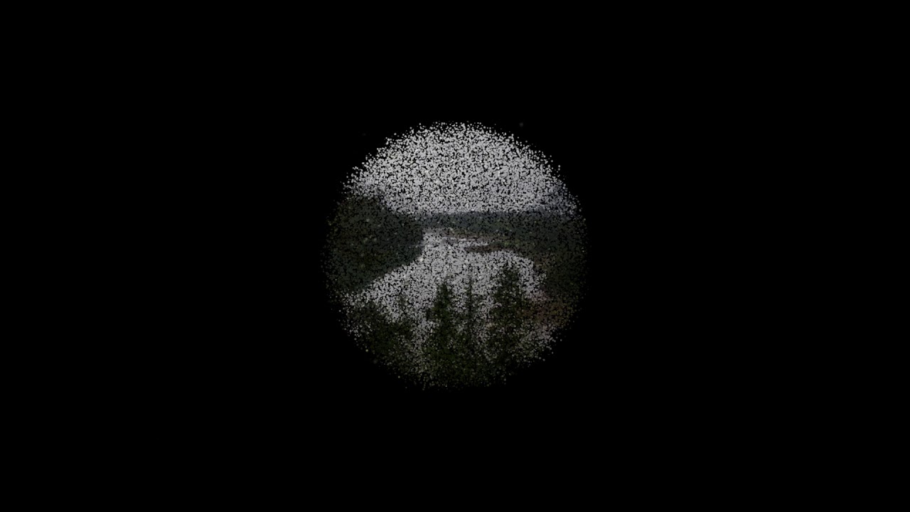 Artists For The Earth - Maya Lin - YouTube