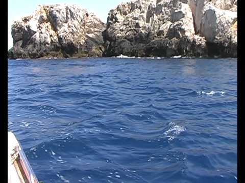 ΣΚΑΦΟΣ και ΨΑΡΕΜΑ με ΣΚΑΦΟΣ Δώρο DVD - YouTube