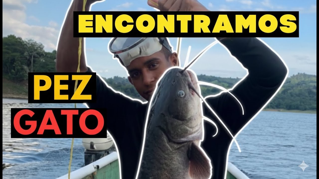 pescando el lago encontramos un pez gato - YouTube