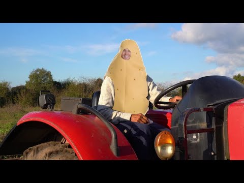 Potäten och Huwar försöker driva en gård | FS 19 | Edited #1 - YouTube