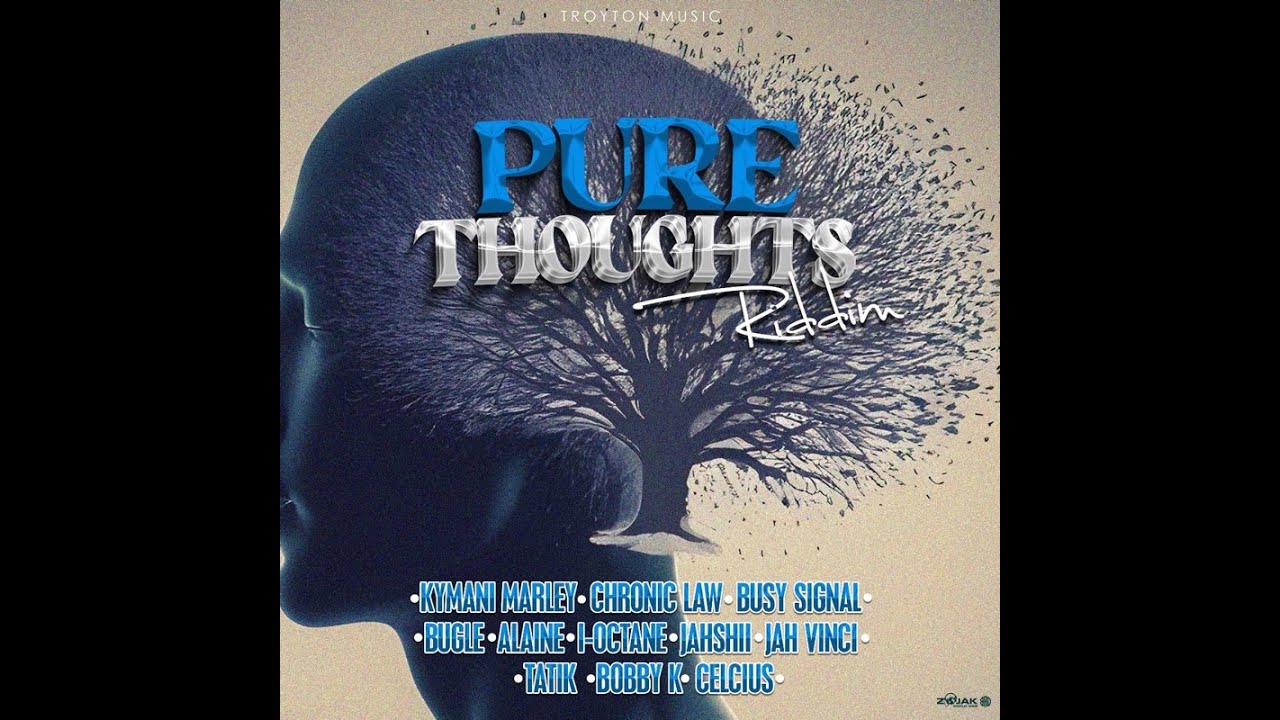 PURE THOUGHTS RIDDIM PROMO MIX 🔥TROYTON MUSIC🔥BRAND NEW DJ Alicea Grooves - Jus 4 u - YouTube