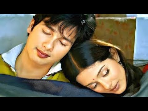 Hamari Shaadi Mein (Vivah) Shahid Kapoor, Amrita Rao | Babul Supriyo, Shreya Ghoshal | Superhit Song