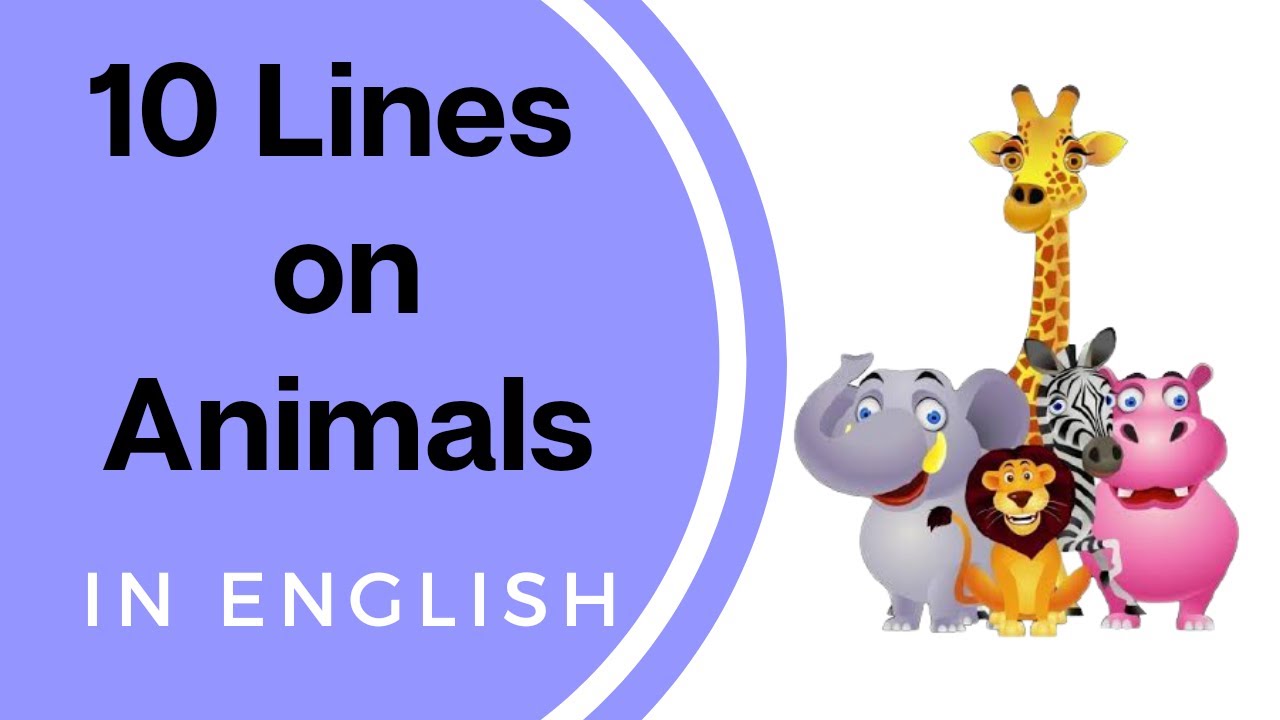 Animals Essay Writing || Short Note on Animals - YouTube