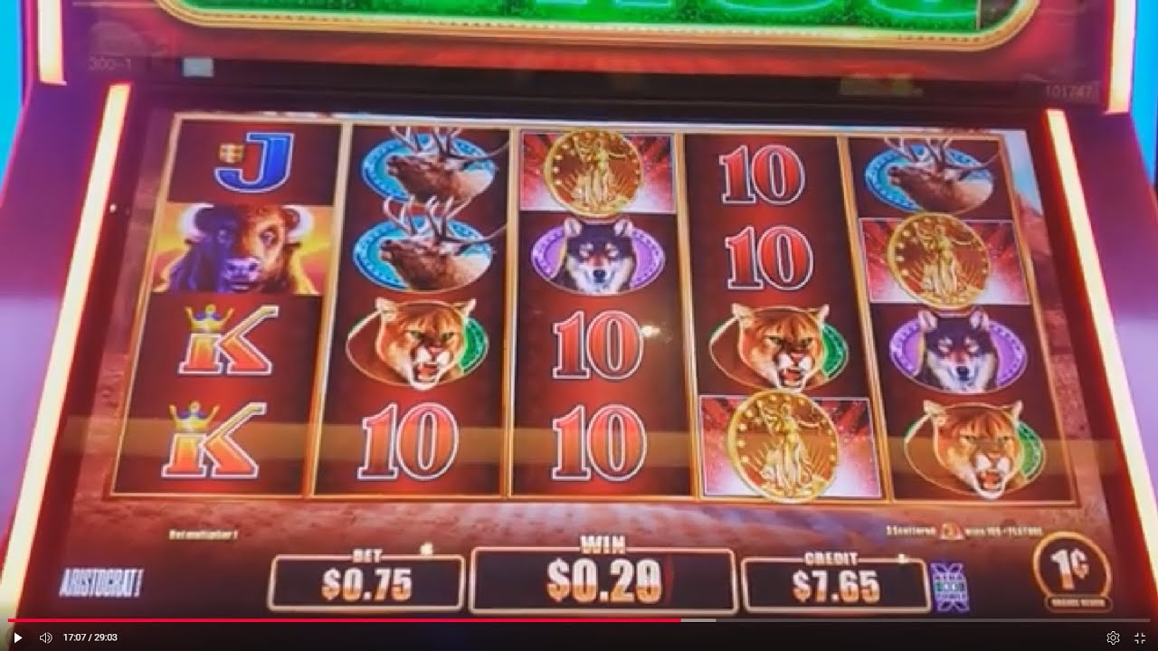 BUFFALO ULTIMATE STAMPEDE - YouTube