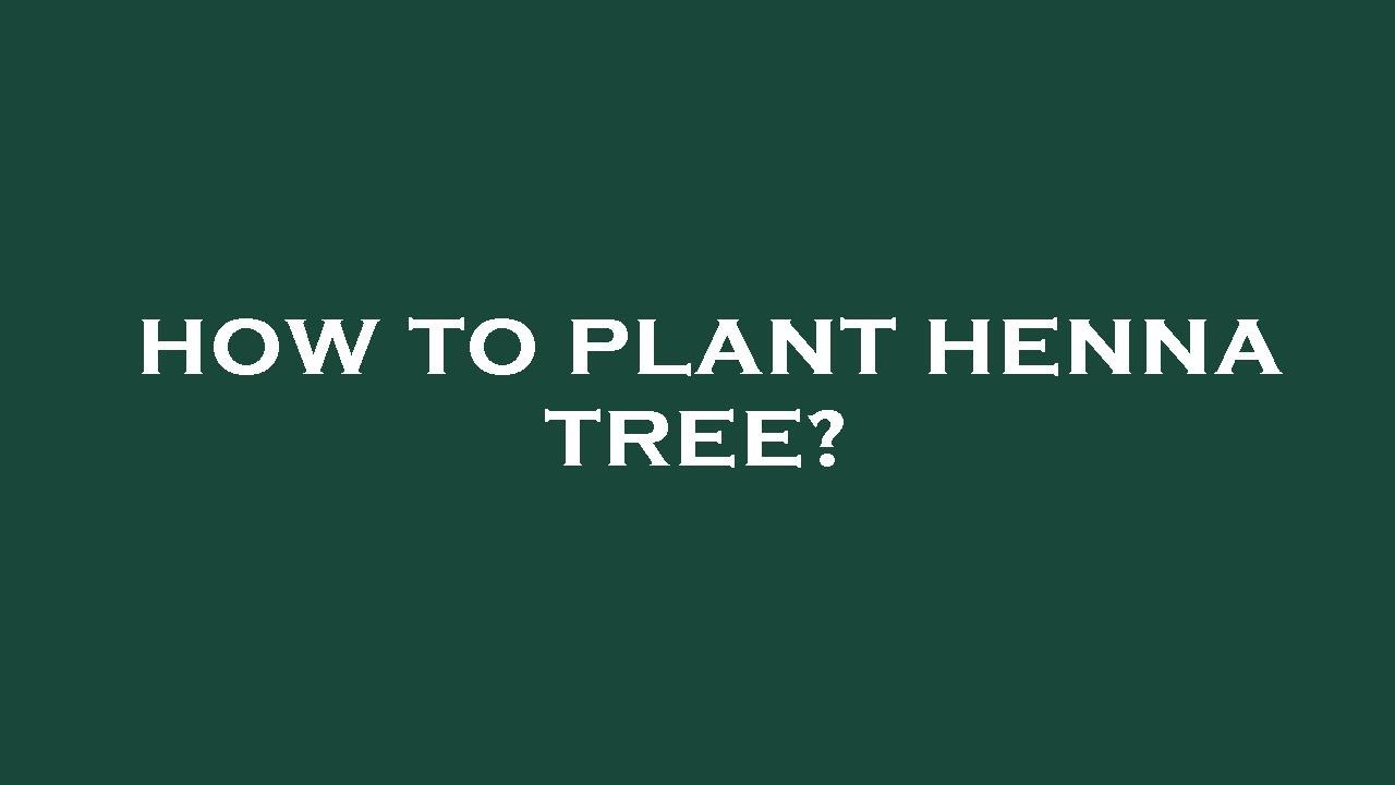 How to plant henna tree? - YouTube