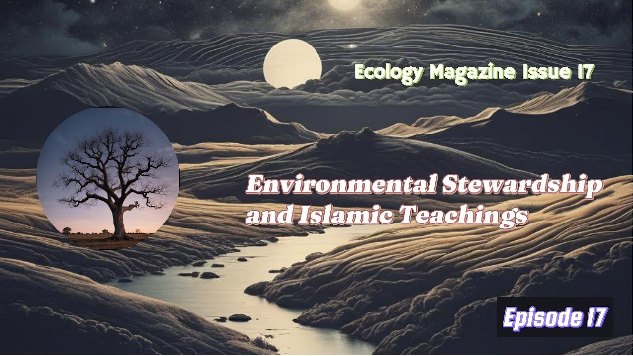 Environmental Stewardship and Islamic Teachings - YouTube