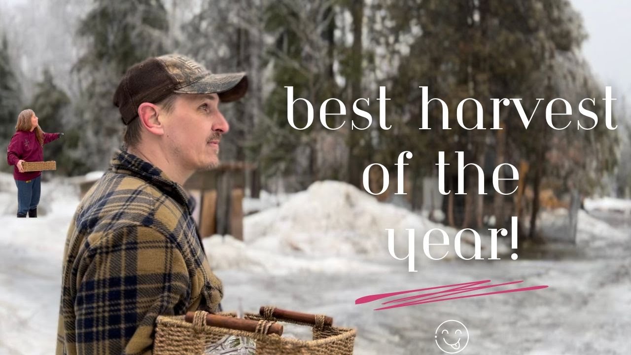 Harvesting Icicles | April Freezing Rain & Thunderstorm - YouTube