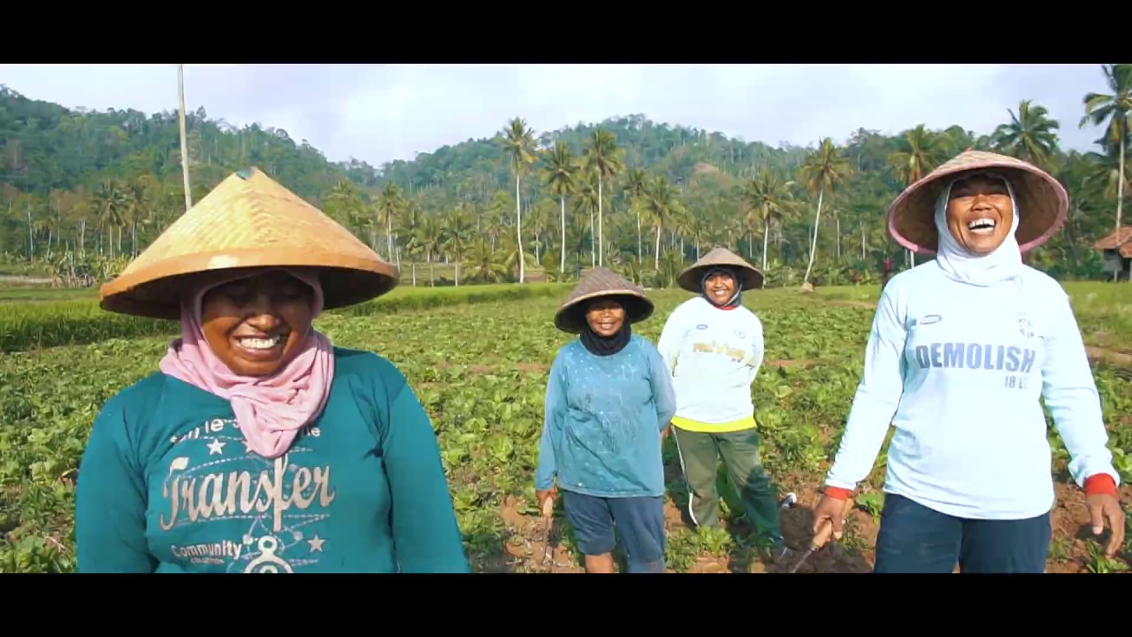 Profil Desa - Pekon Gisting Bawah ( Tanggamus, Lampung ) - YouTube