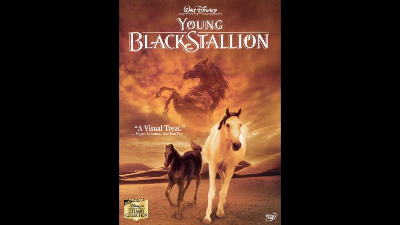 Young Black Stallion 2004 DVD Overview - YouTube
