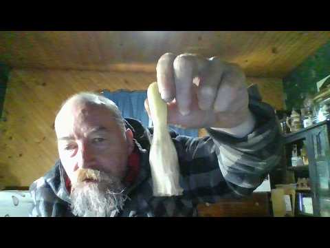 things we found in the ground