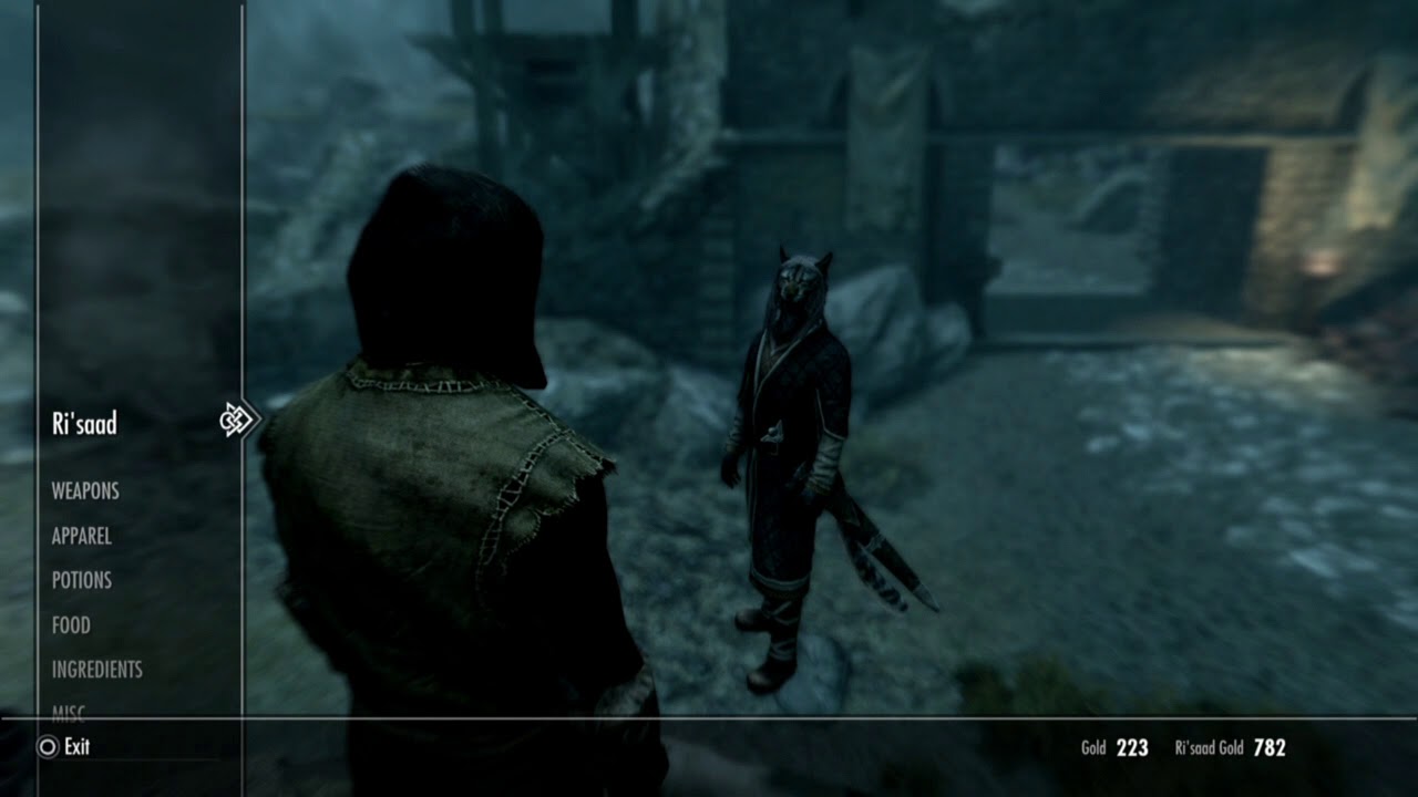 Ri'saad the floating Khajiit - YouTube