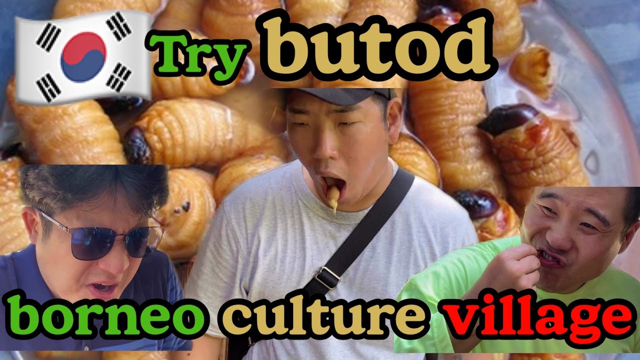 Koreans tried butod!(coconut worm)What’s their reaction?With(korean ...
