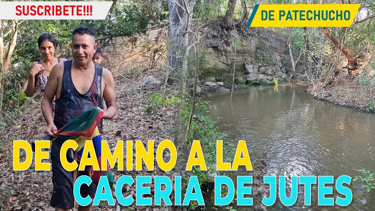 ¿Donde se pueden agarrar Jutes? Juan de @lafincadelpatechucho nos ...