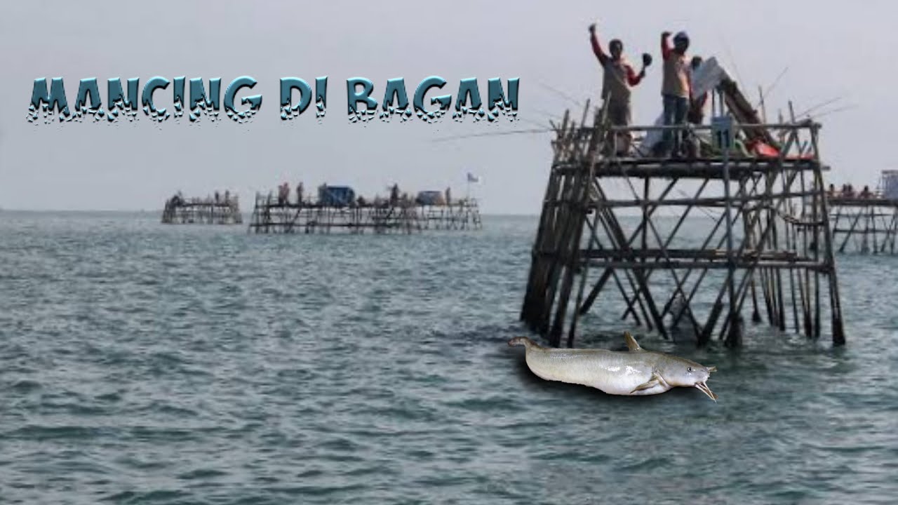 Mancing mania - YouTube