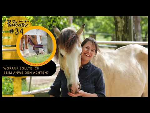 Sanoanimal Podcast #34 - Worauf sollte ich beim Anweiden achten?
