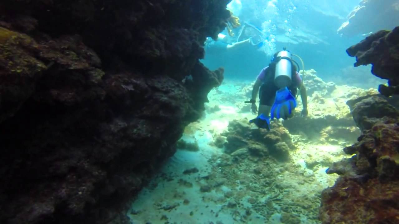 The Caverns GREAT DIVE Ocho Rios Jamaica - YouTube