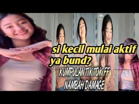TIK TOK PANUTAN KU NIH BOSS PENAMBAH DAMAGE🔥999+