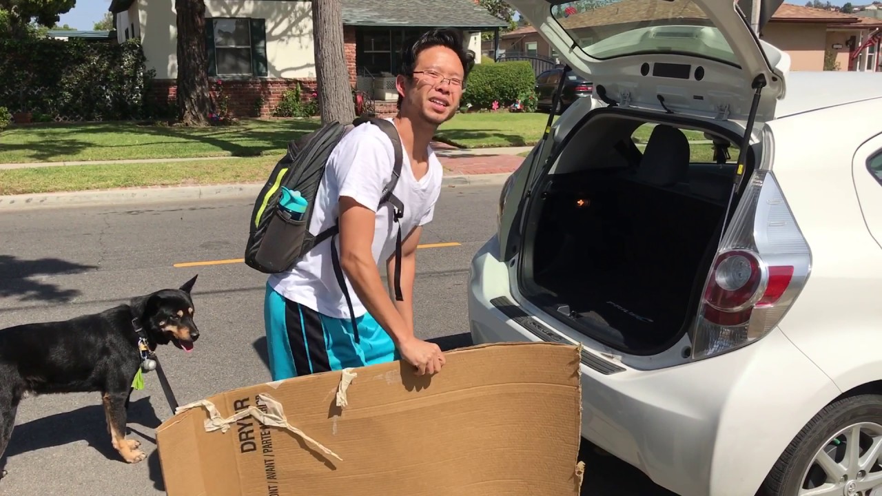 Getting Mundo ready for car ride to go hiking - YouTube