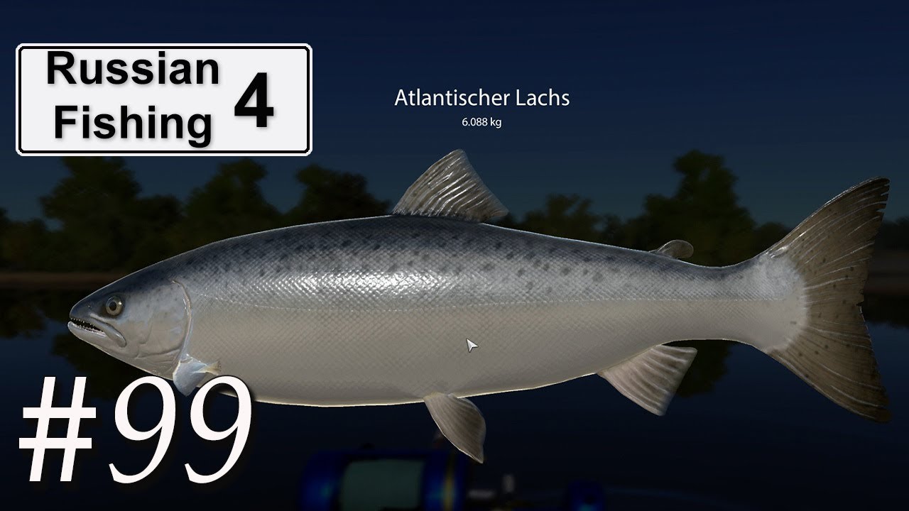Russian Fishing 4 #99 | Lachse am Großen Strom bei der Polizeistation ...