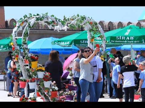 “Göycə” festivalından videoçarx